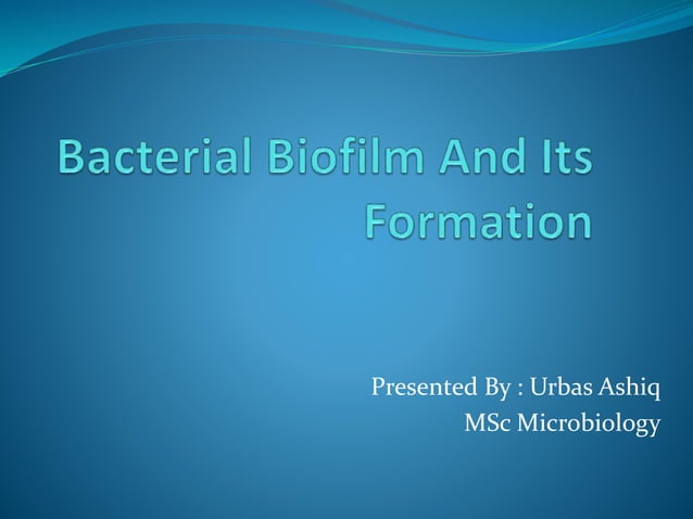 URBAS ASHIQ presentation on bacterial biofilms | PPT