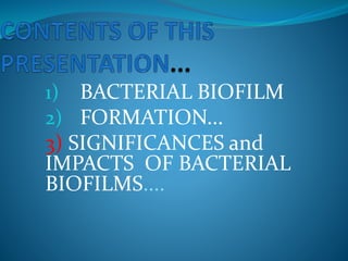 URBAS ASHIQ presentation on bacterial biofilms | PPT