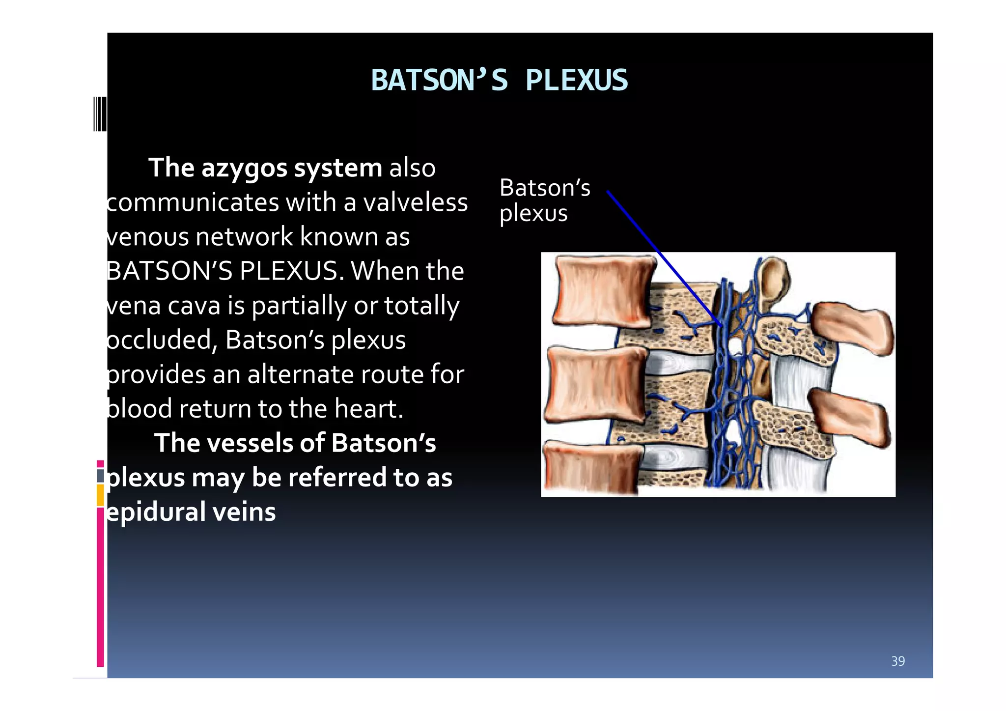 Contents of vertebral canal and its applied aspects mbbs | PDF