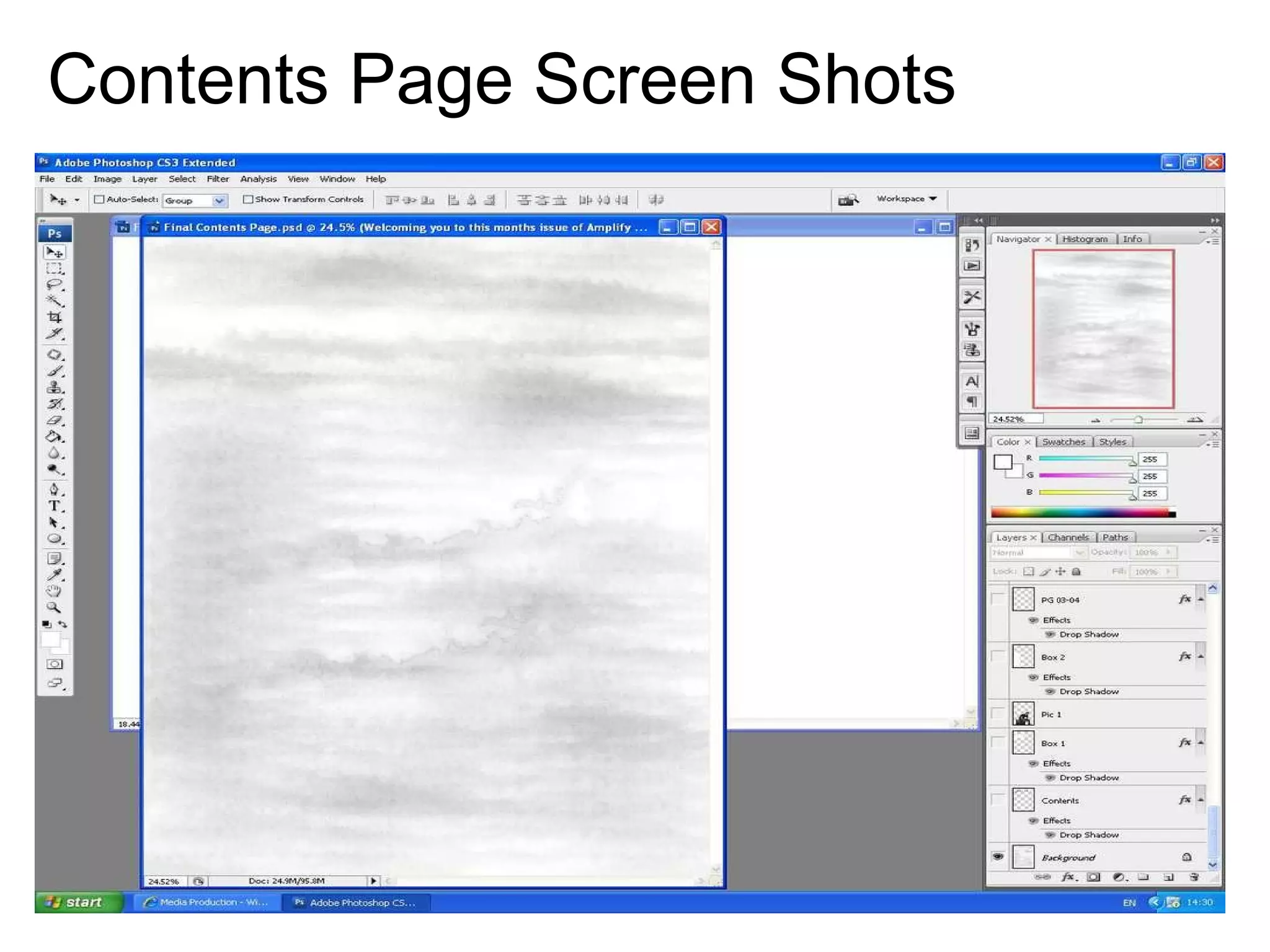 Contents Page Screen Shots | PPT