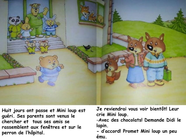 Mini-loup à l'hôpital | PPTX