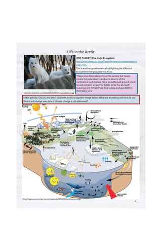 New Frontiers: Contested Claims in Arctic Exploration | PDF