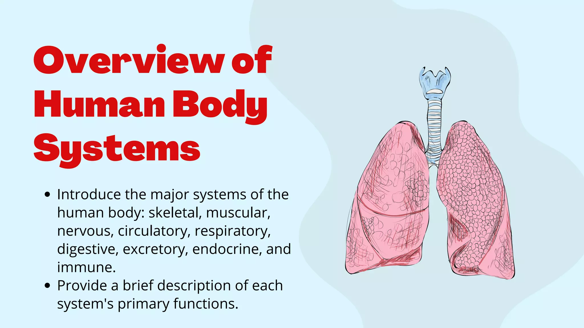 HUMANSBODY.pdf