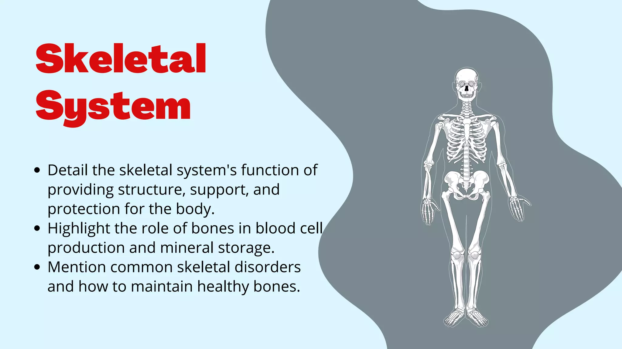 HUMANSBODY.pdf