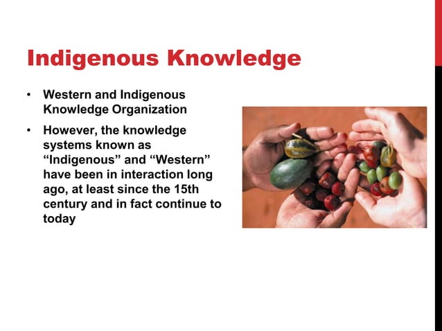 Contextualizing a Classification System | PPT