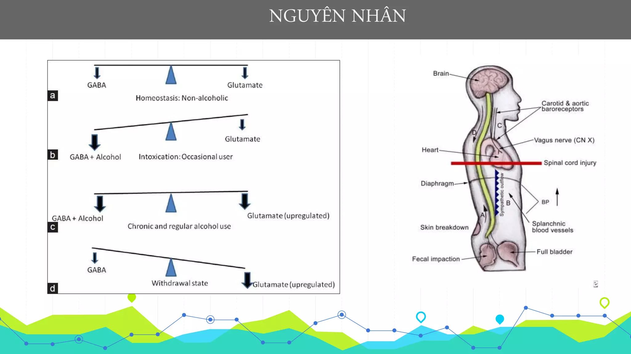 Tiếp cận chẩn đoán và xử trí cơn tăng huyết áp - THA khẩn cấp - THA cấp ...