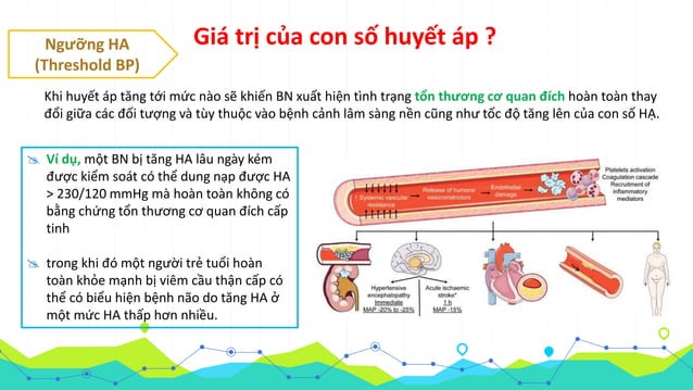 Tiếp cận chẩn đoán và xử trí cơn tăng huyết áp - THA khẩn cấp - THA cấp ...