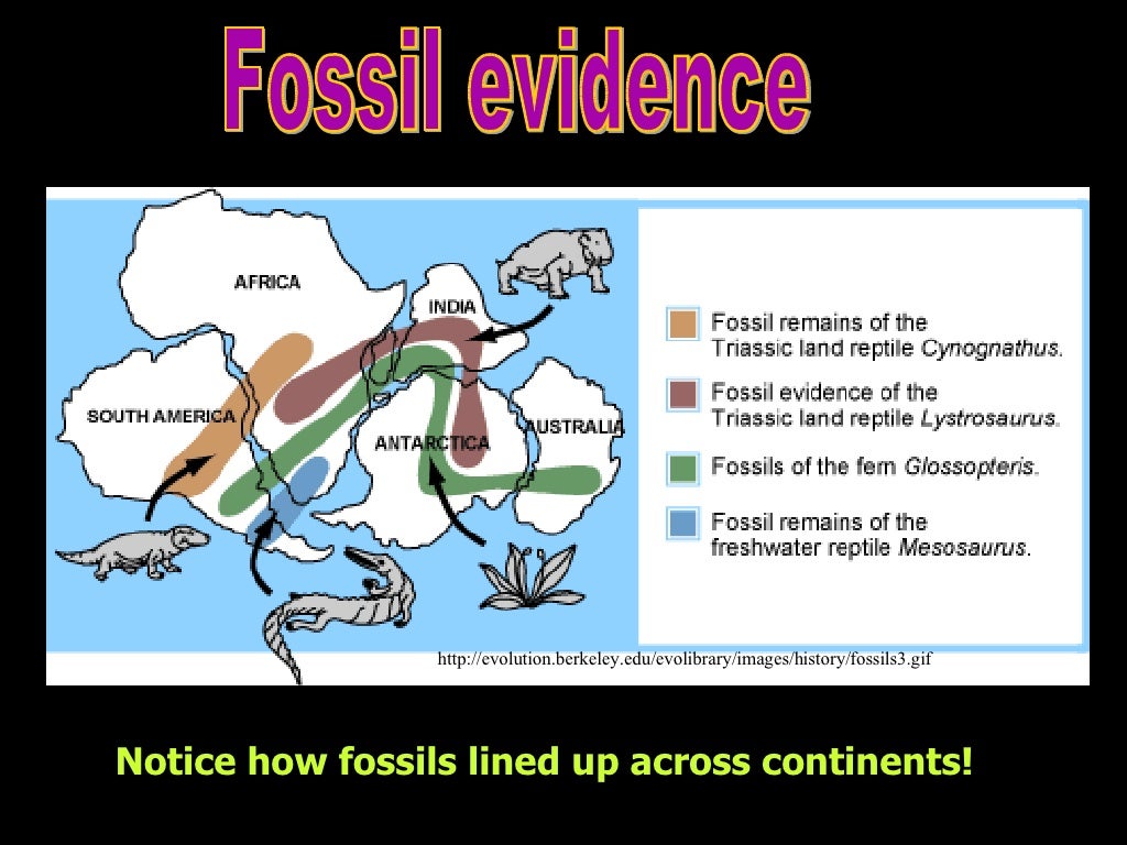 continental-drift-and-plate-tectonics-andie