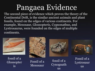 Continental Drift | PPT | Geography | Science