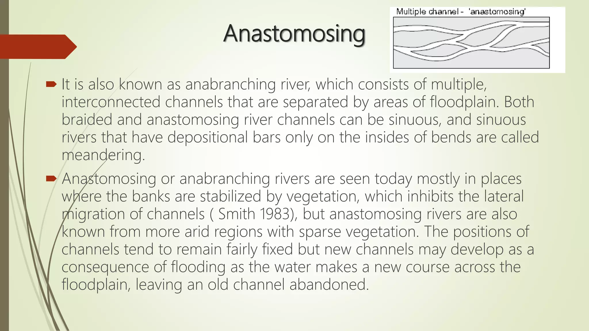 Continental depositional environment | PPTX