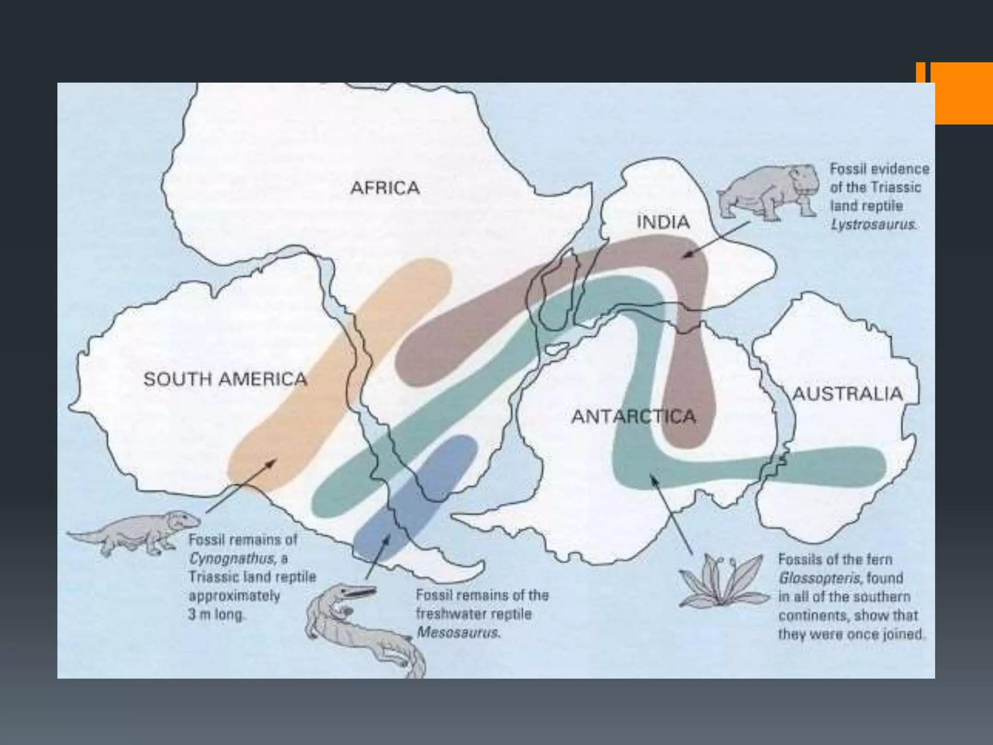 Continental drift | PPTX
