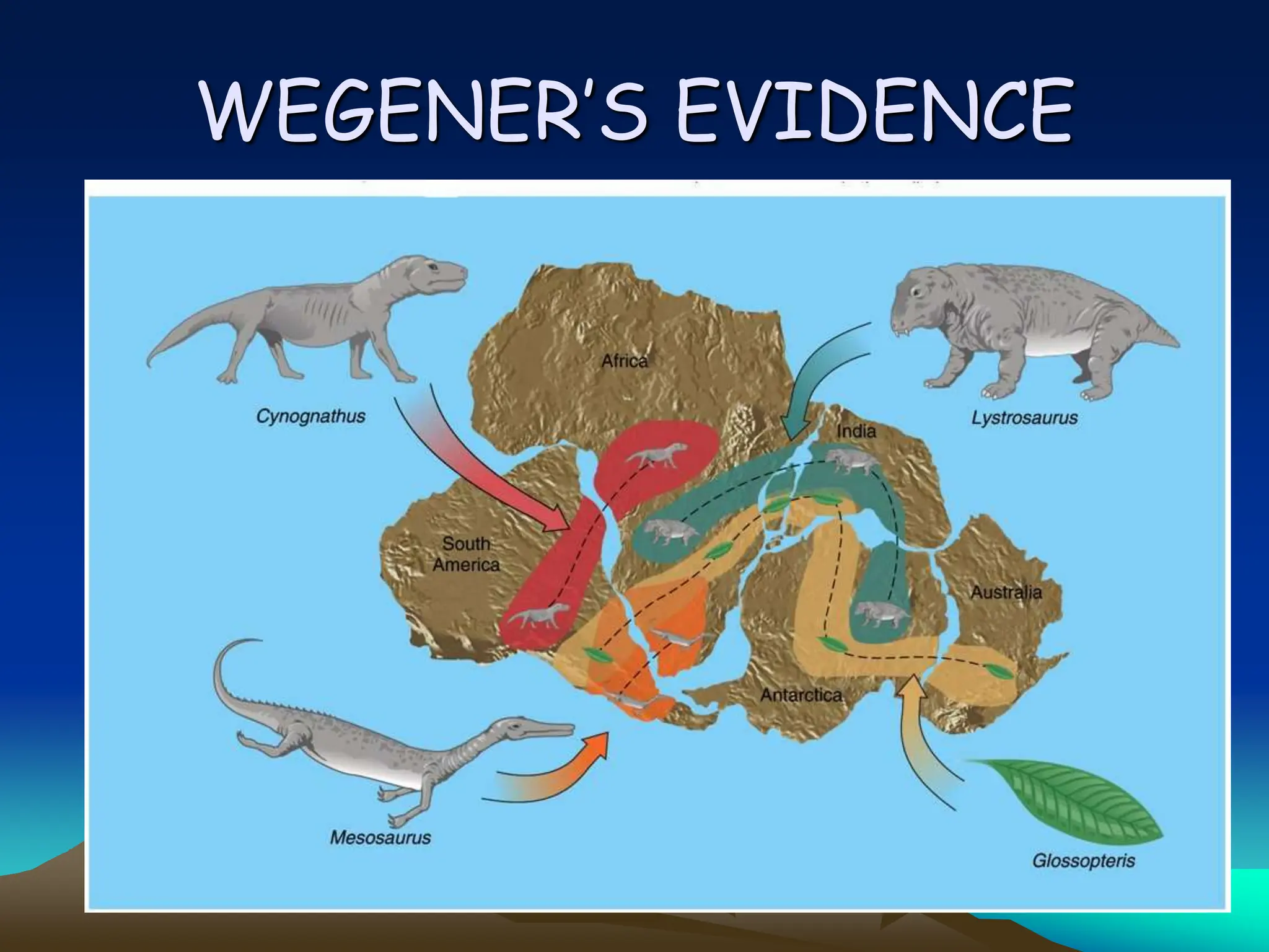 Continental drift theory by Alfred Wegener | PPT
