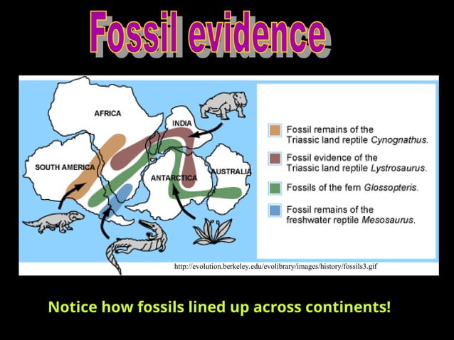 Continental drift and plate tectonics.ppt
