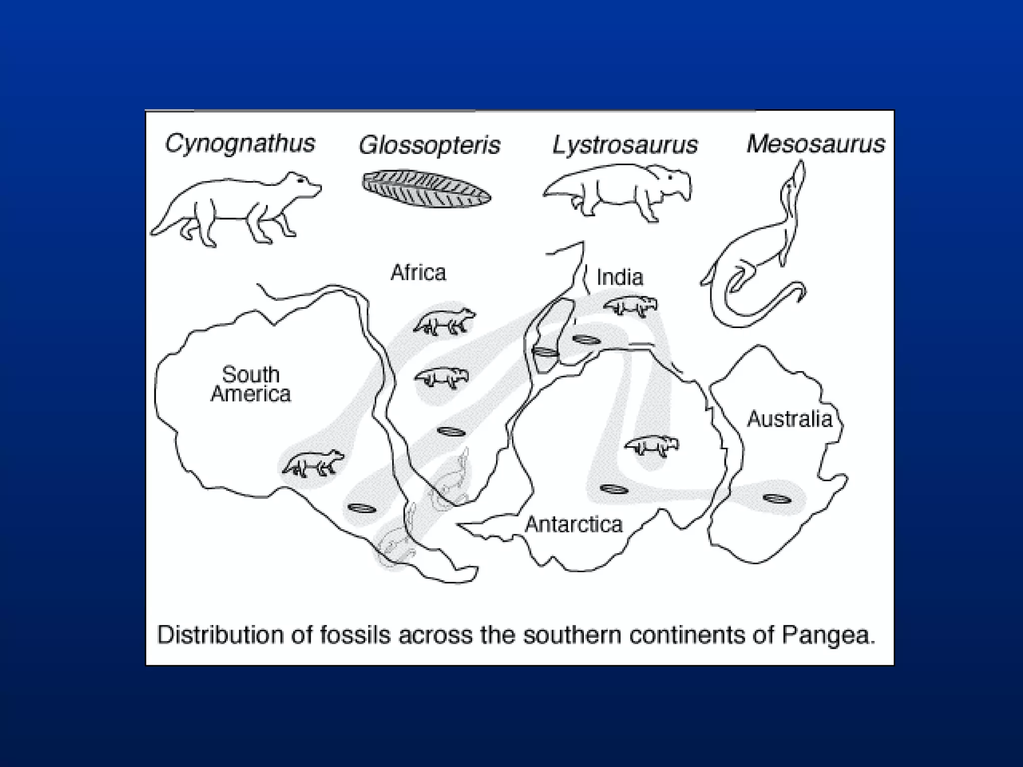 Notes: Continental Drift Plate Tectonics | PPT