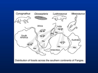 Notes: Continental Drift Plate Tectonics | PPT