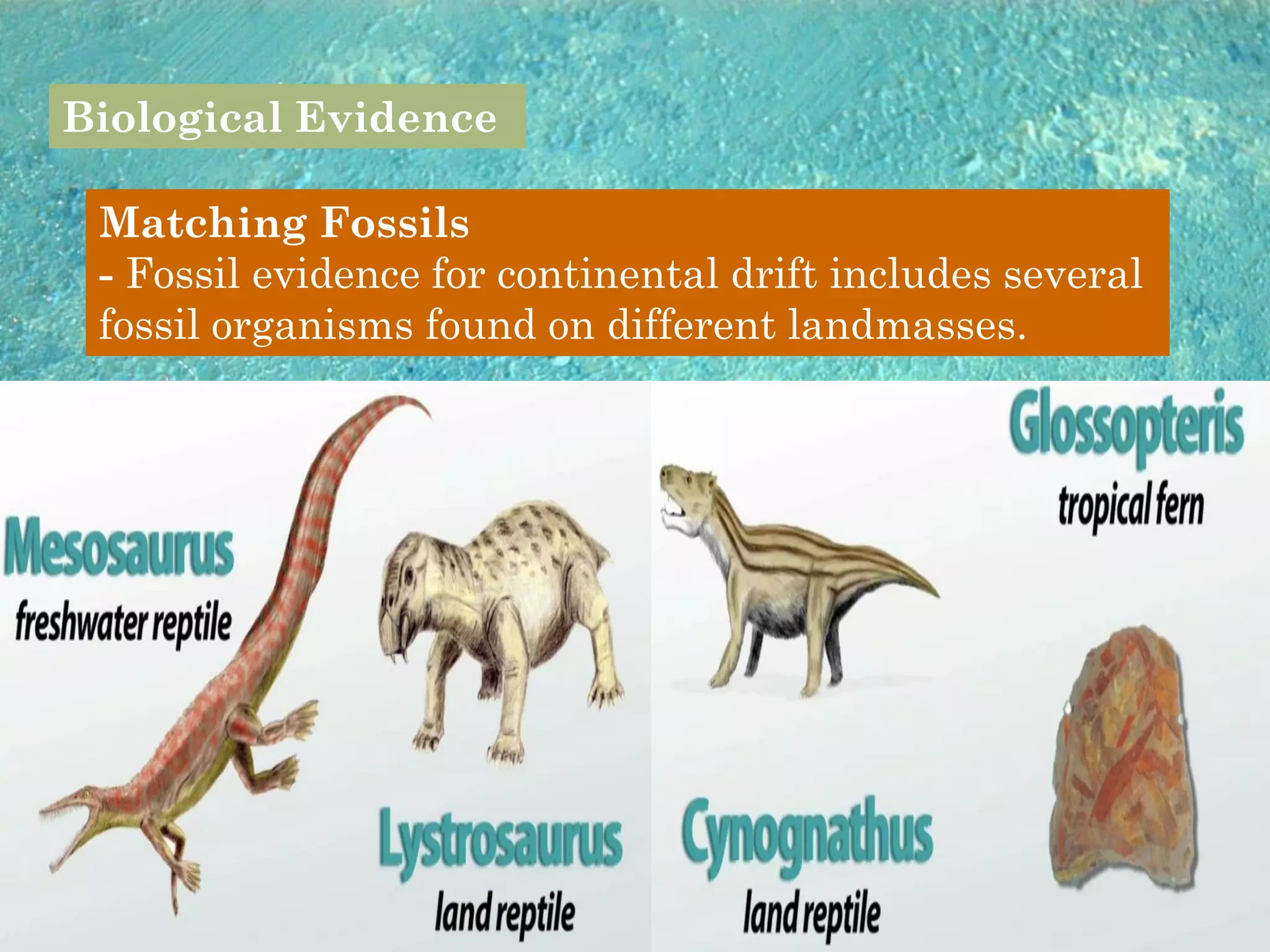 Continental drift &and sea floor spreading | PDF