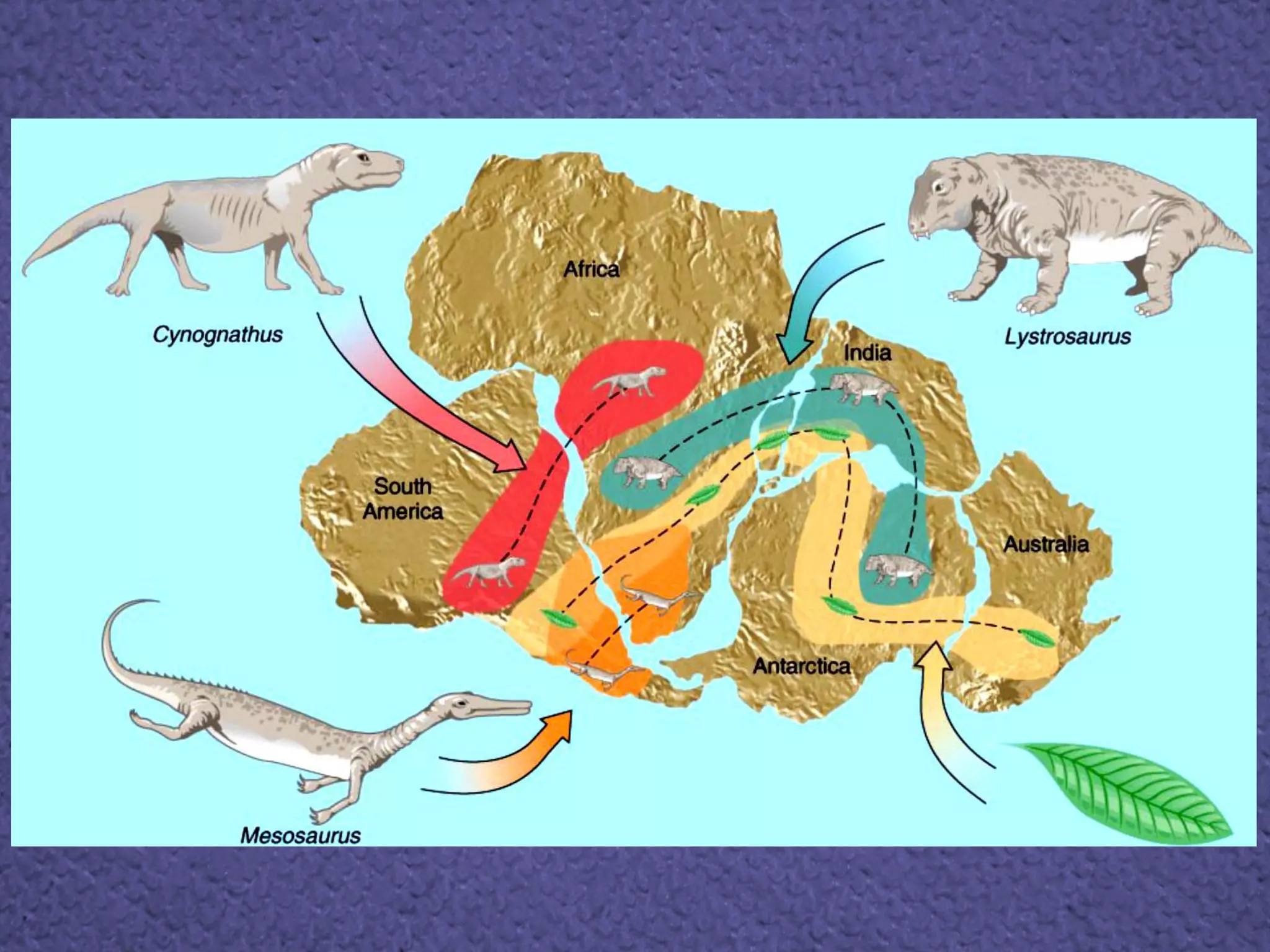 Continental drift &and sea floor spreading | PDF