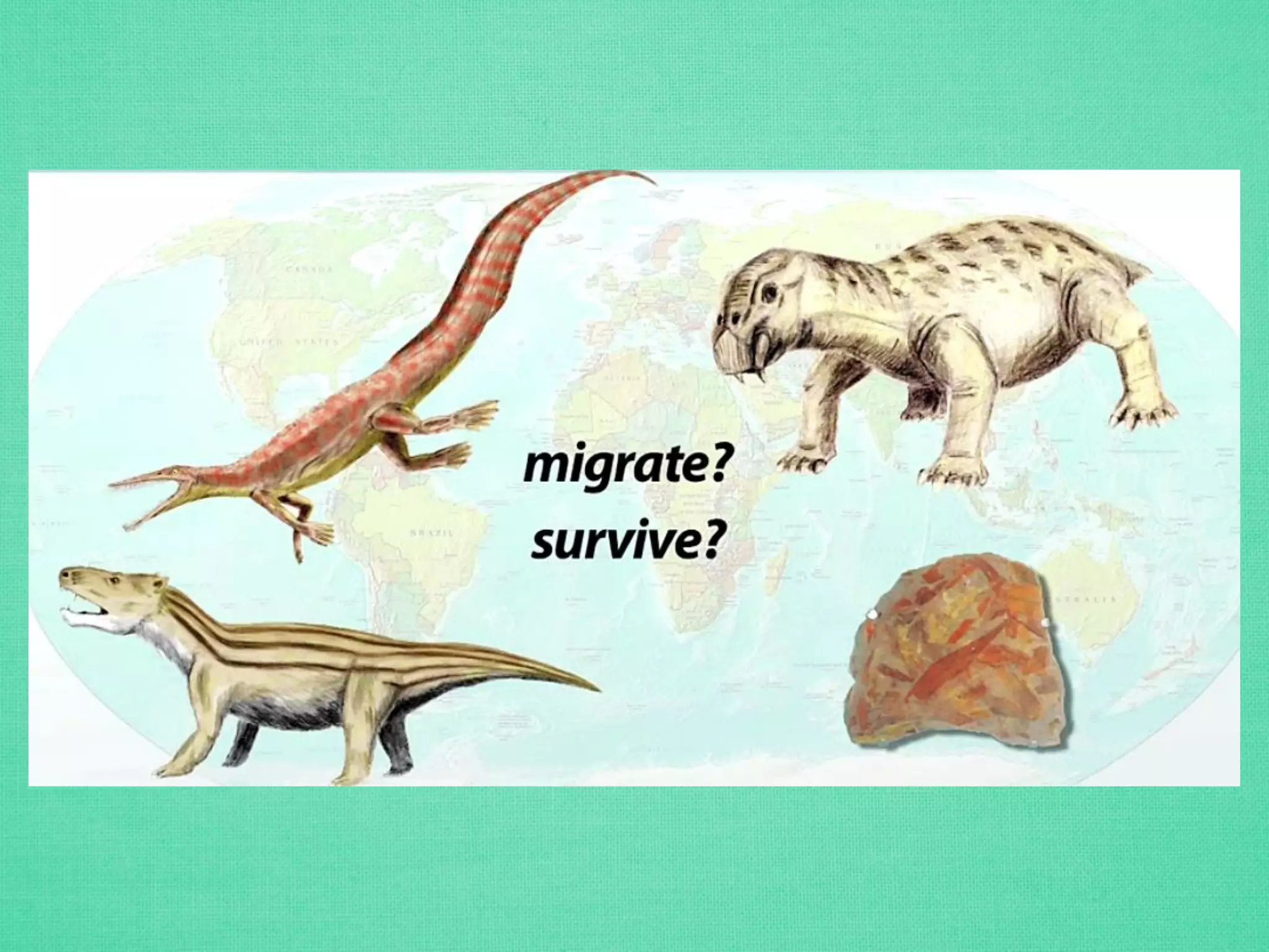 Continental drift &and sea floor spreading | PDF
