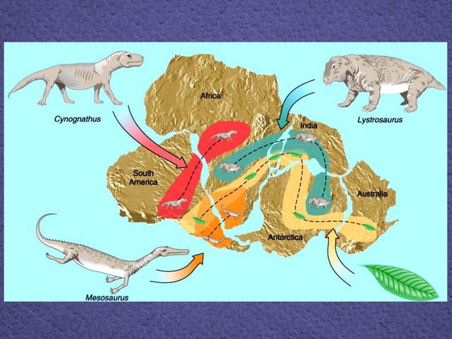 Continental drift &and sea floor spreading | PDF