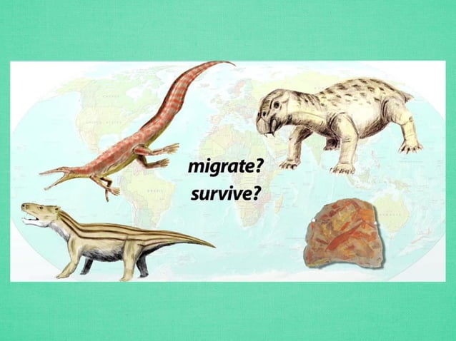 Continental drift &and sea floor spreading | PDF