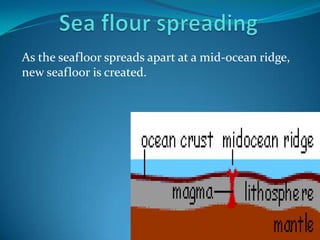 Continental drift theory | PPTX