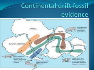 Continental drift theory | PPTX