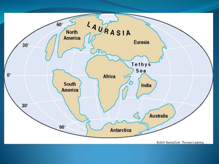 Continental drift theory