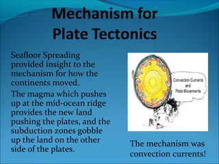 Continental drift theory | PPT
