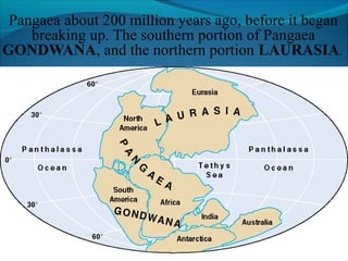 Continental drift theory | PPT