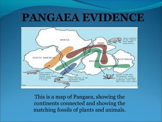 Continental drift theory | PPT