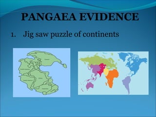 Pangea Puzzle With Fossils