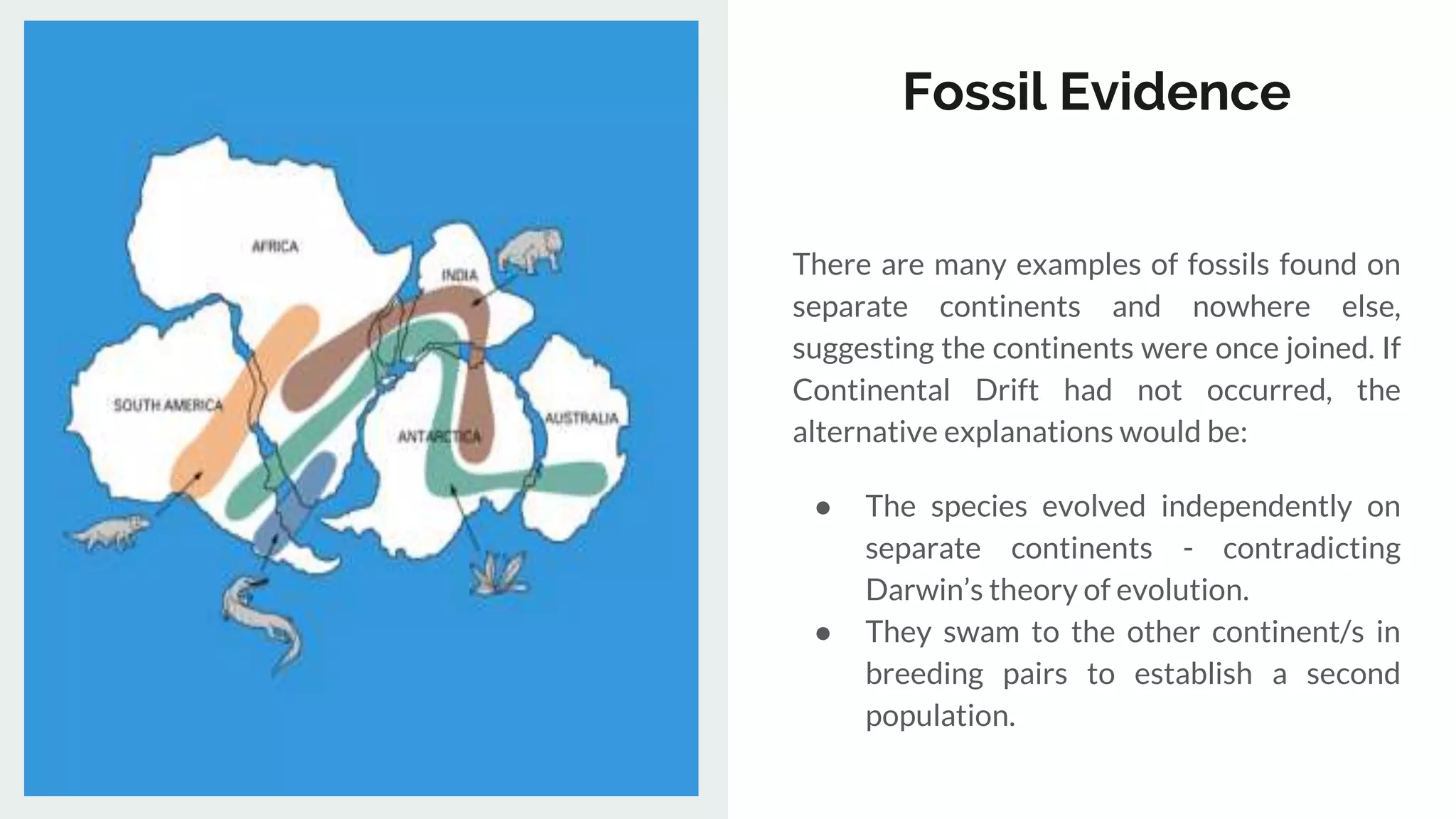 Continental Drift Theory | PPTX