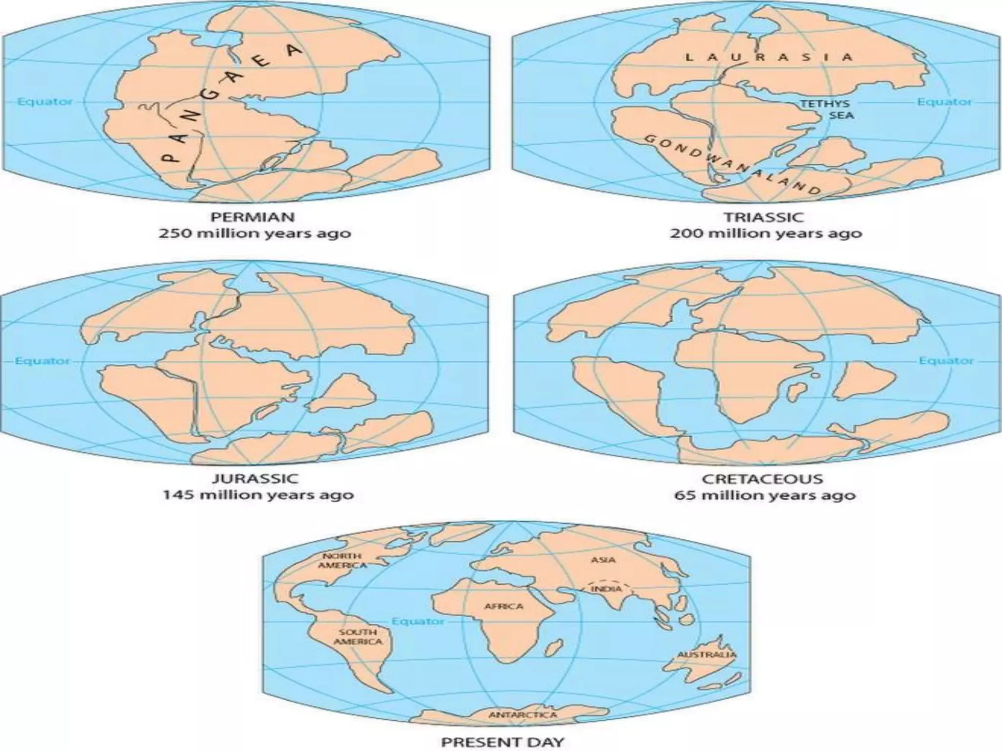 Continental Drift Theory | PDF