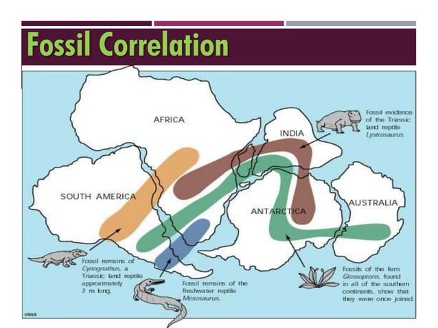 Continental Drift Theory | PDF | Geology | Science