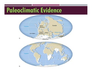 Continental Drift Evidence