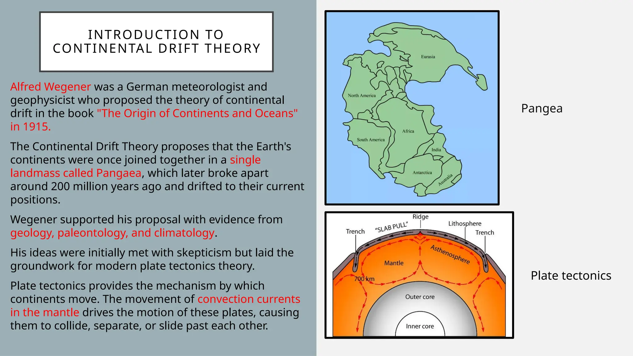 Continental Drift Theory plant phytogeography pptx | PPTX