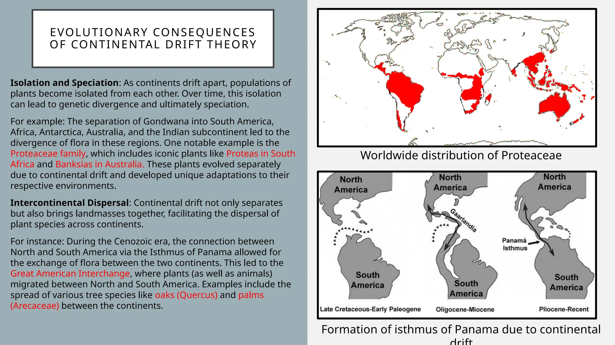 Continental Drift Theory plant phytogeography pptx | PPTX