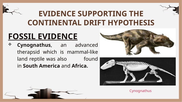 THE CONTINENTAL DRIFT THEORY BY ALFRED WEGENER | PPT