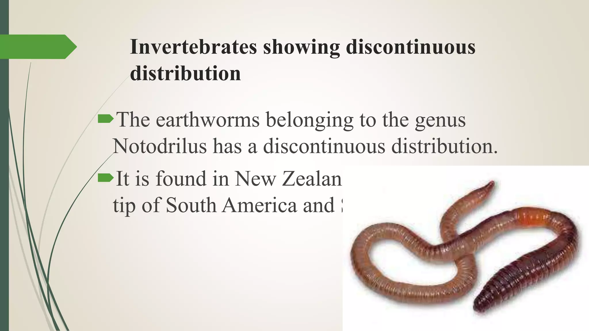 CONTINENTAL DRIFT THEORY AND DISCONTINUOUS DISTRIBUTION.pptx