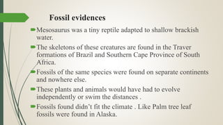 CONTINENTAL DRIFT THEORY AND DISCONTINUOUS DISTRIBUTION.pptx