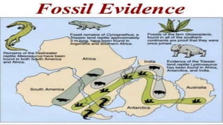 Continental drift theory and seafloor spreading | PPTX