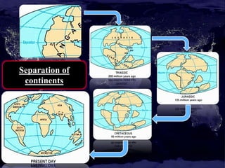 Continental drift theory bsc.sem ii final | PPT