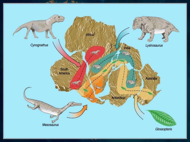 Continental drift theory discuss | PPTX