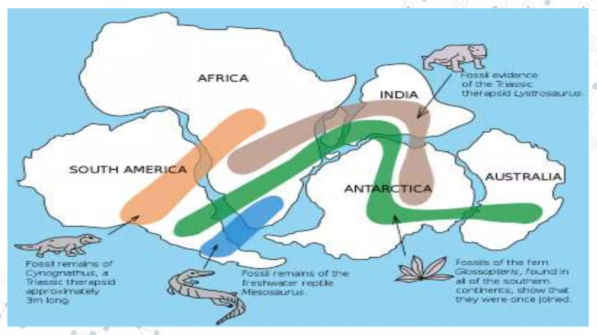 CONTINENTAL DRIFT THEORY & SEAFLOOR SPREADING.pptx