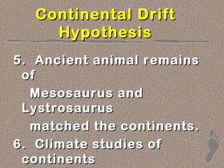 Continental drift wegener evidence | PPT