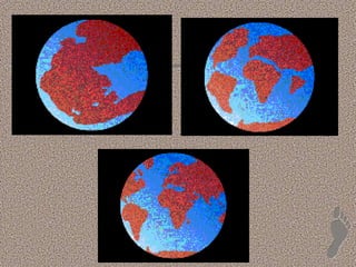 Continental drift wegener evidence | PPT