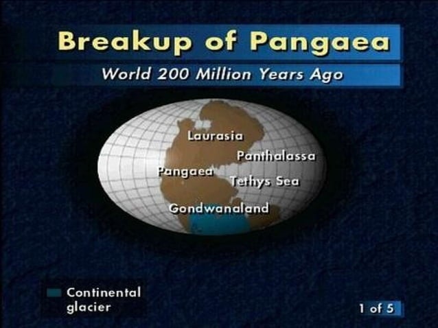 Continental drift wegener evidence | PPT