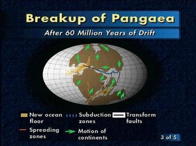 Continental drift wegener evidence | PPT