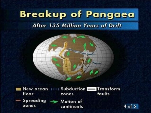Continental drift wegener evidence | PPT