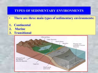 CONTINENTAL ENVIRONMENTS.ppt